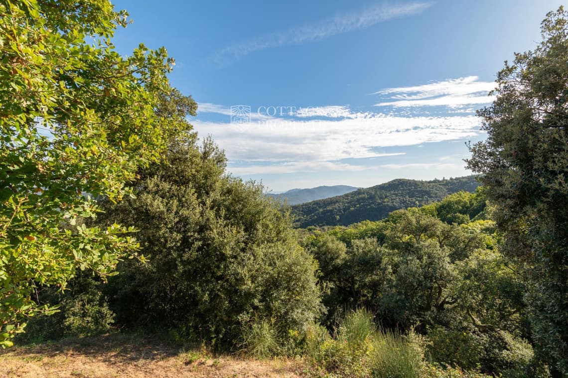 Finca rústica de 50 hectàrees de bosc a Anglès, La Selva, Girona ...