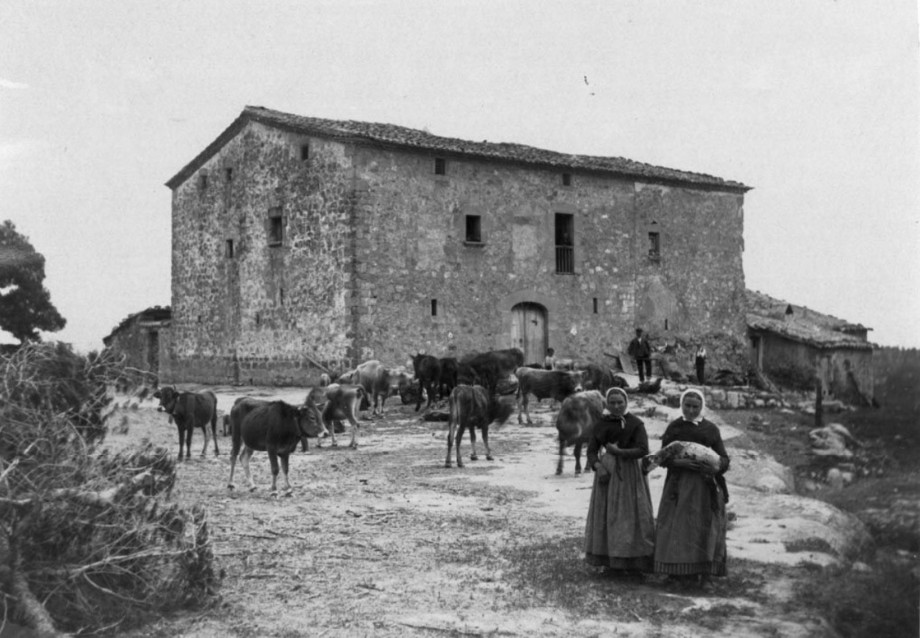 Masías Catalanas: 17 Características y Elementos Importantes